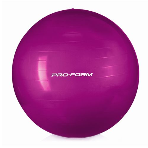 Proform Stability Ball 65cm – Fitness Connection ltd